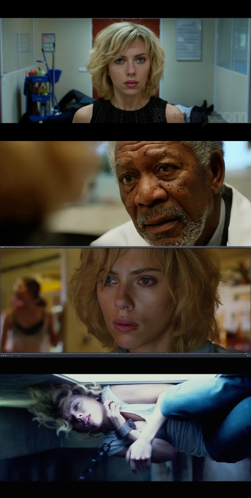 Download Lucy | 2014 | Hindi-English | Dual Audio | 480p 720p 1080p